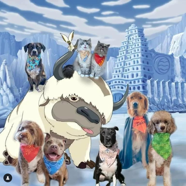 Geekster Collage: A:TLA Birthday – Geekster Pets
