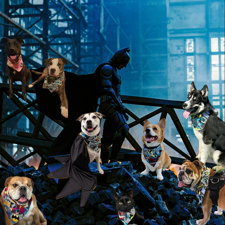 Geekster Collage: The Dark Knight – Geekster Pets