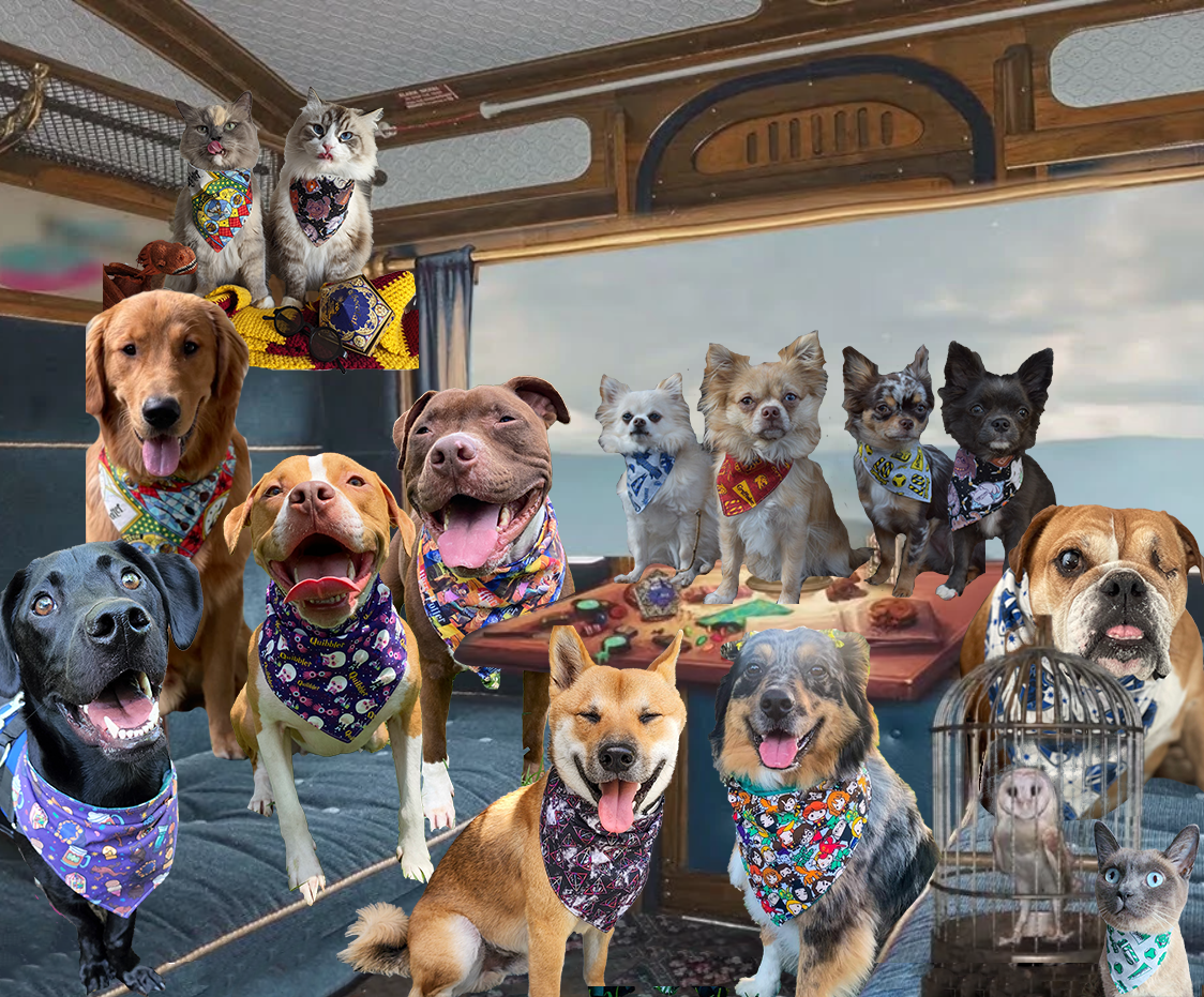 Geekster Collage: Wizard Train – Geekster Pets