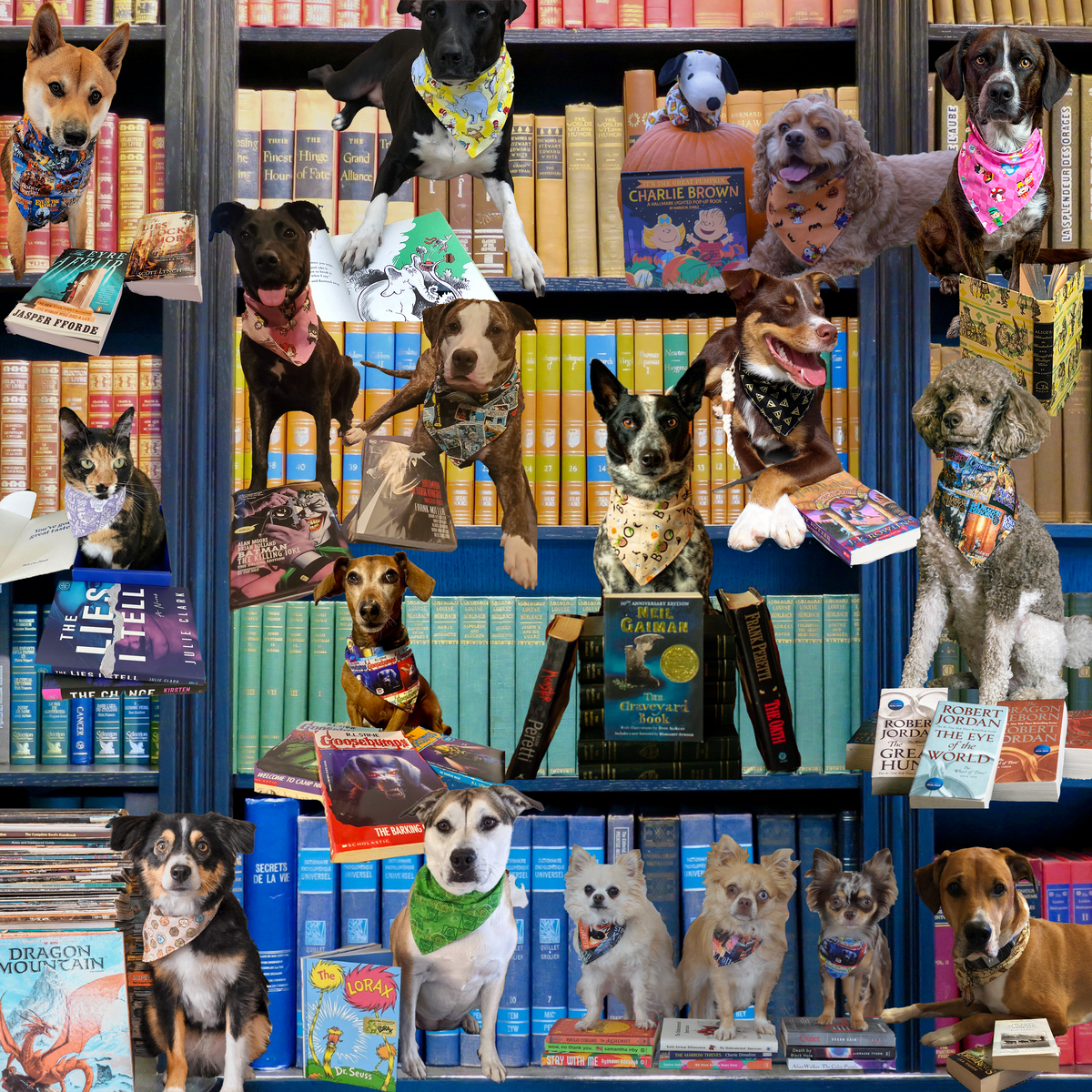 Geekster Collage: Read a Book Day – Geekster Pets