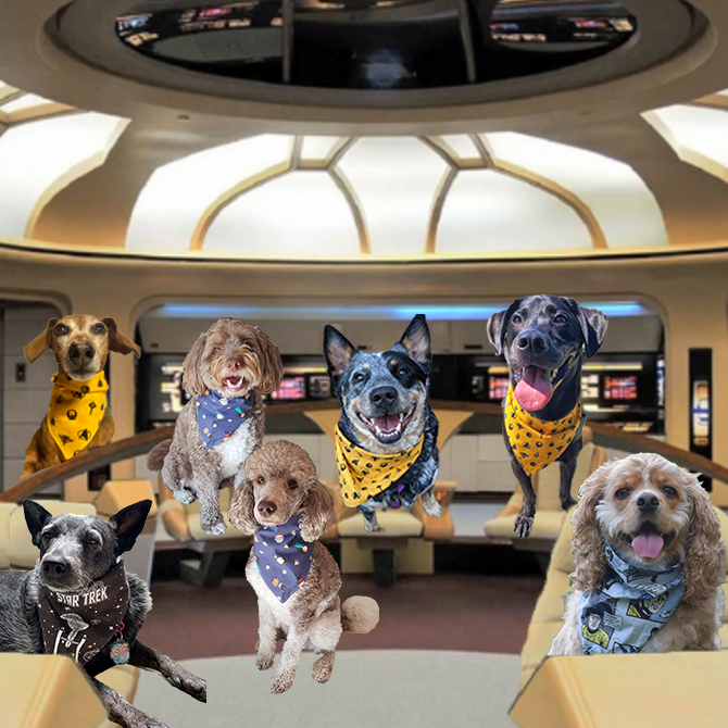 Geekster Collage: Final Frontier – Geekster Pets