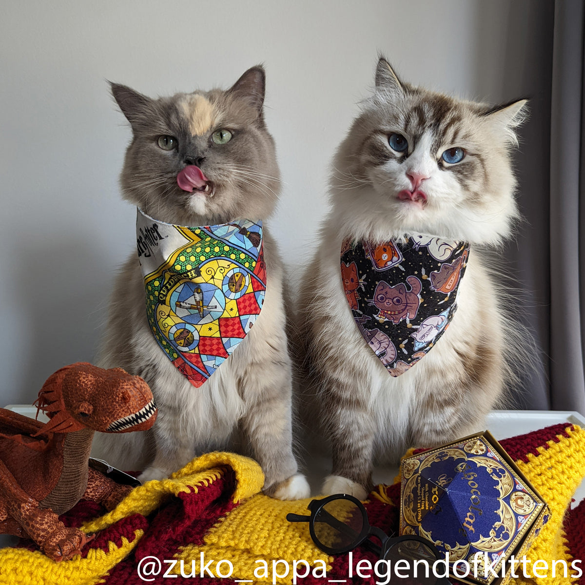 Hogwarts Glass – Geekster Pets